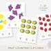 Fruit Count and Clip Cards | Counting 1-20 Number Flashcards ...