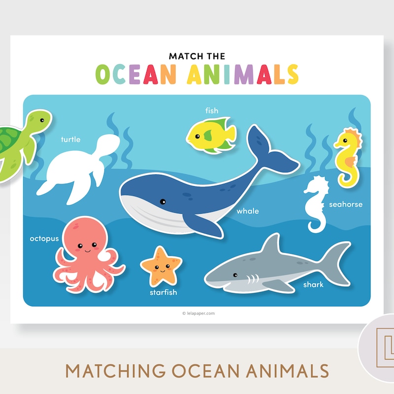 Ocean Animal - Etsy