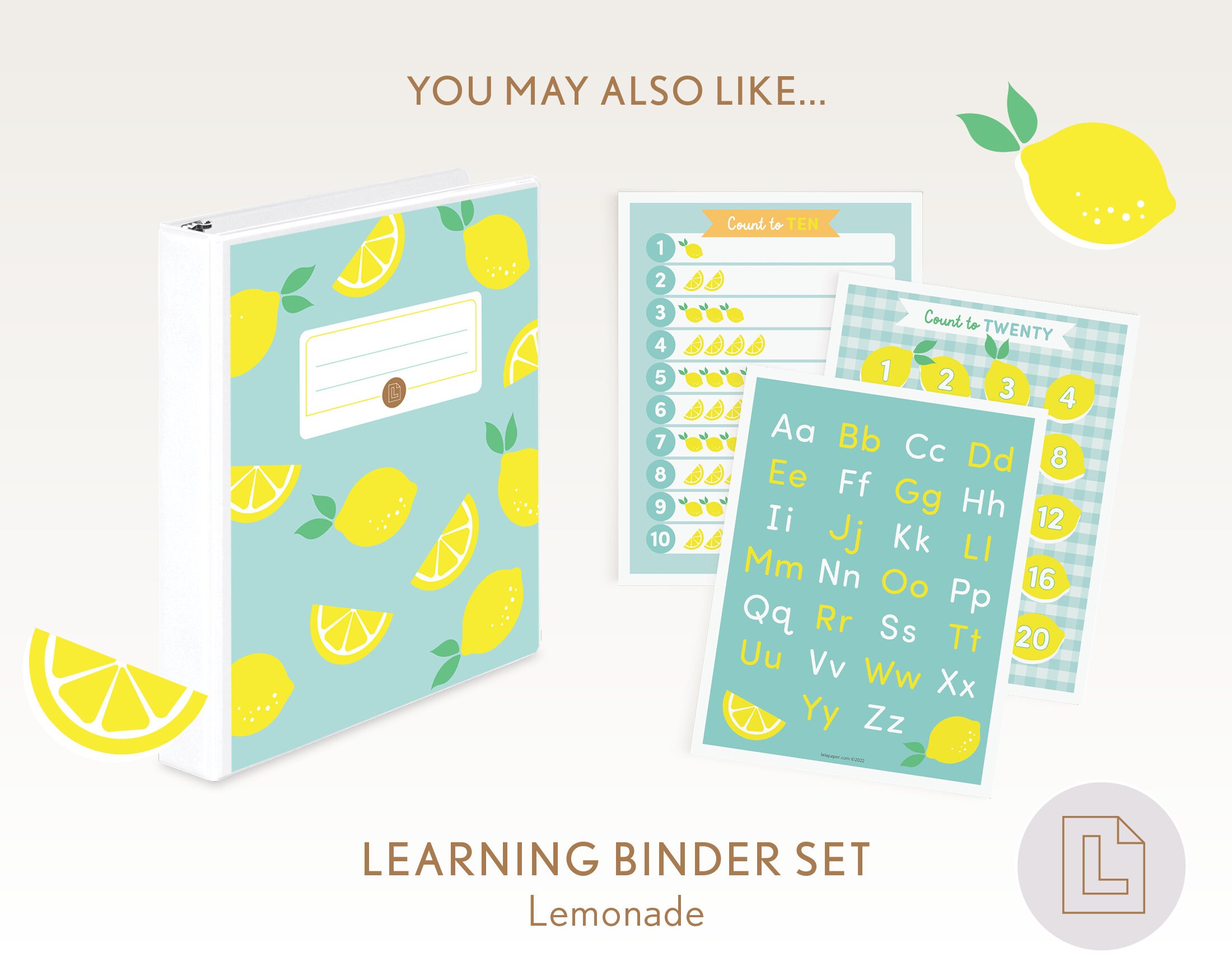 2D Shapes Print Learning Binder Lemonade Activity Busy - Etsy