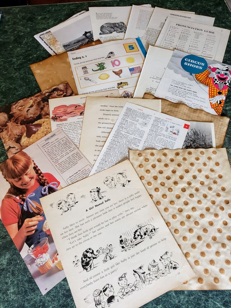 Themed Variety Paper Packets W/vintage Book Pages, Unique Papers ...