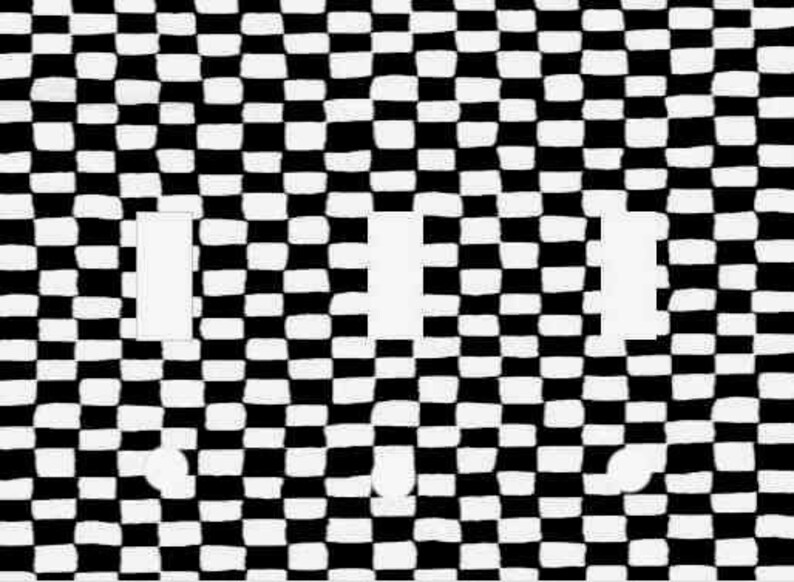 BLACK AND WHITE Checkered Racing Home Wall Decor Light Switch Plates ...