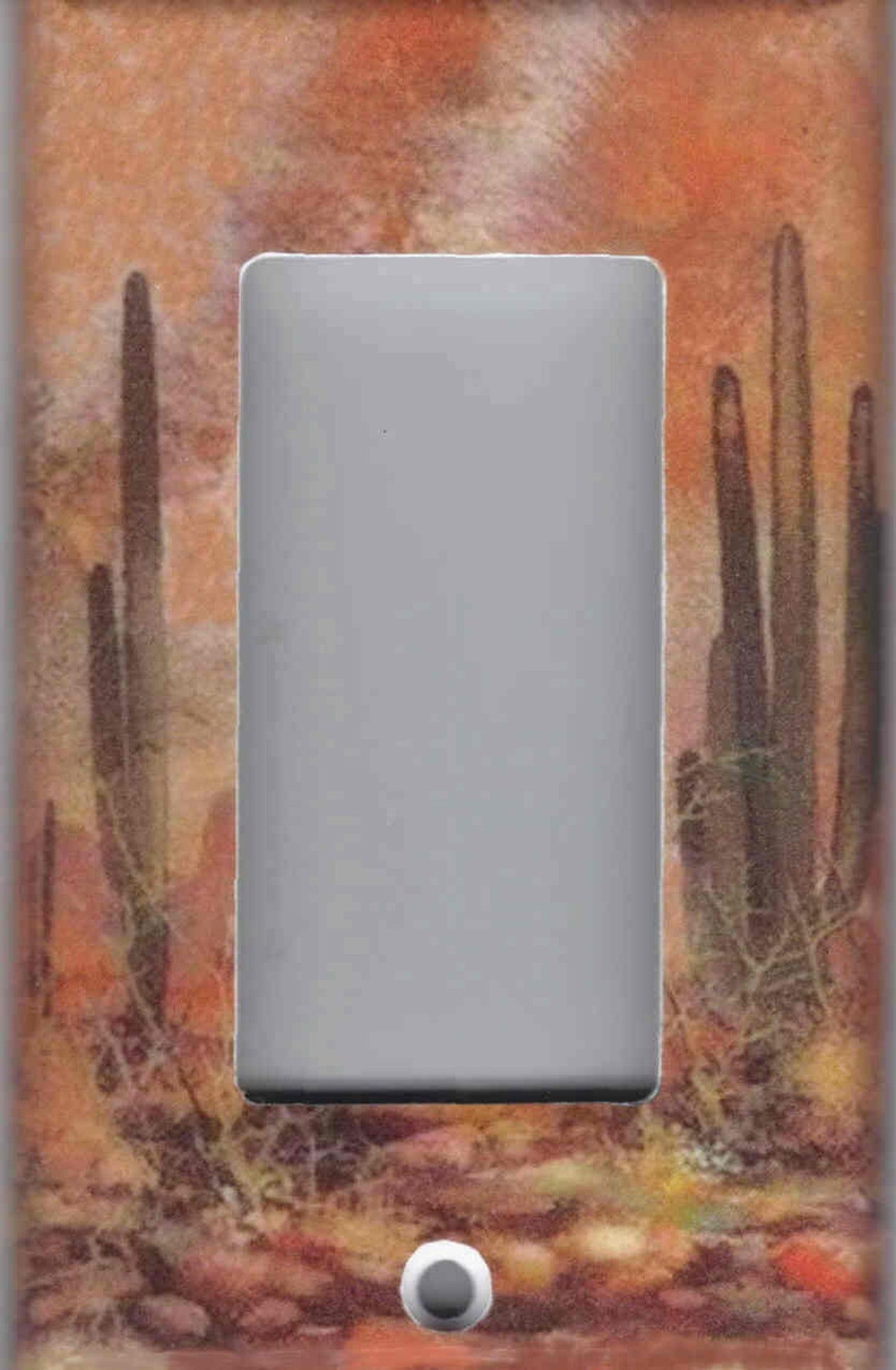 SOUTHWEST DESERT With CACTUS Light Switch Plates and Outlets Home Decor ...