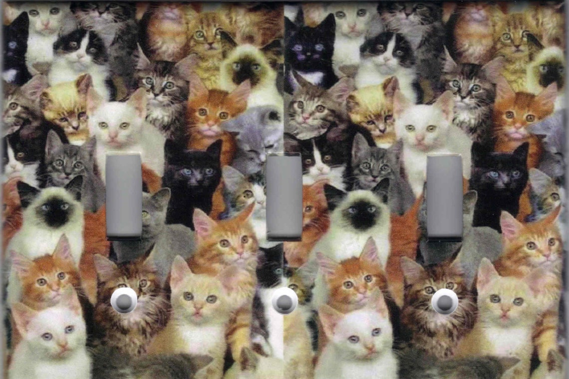 CATS, CATS, CATS Light Switch Plates and Outlets Home Decor - Etsy