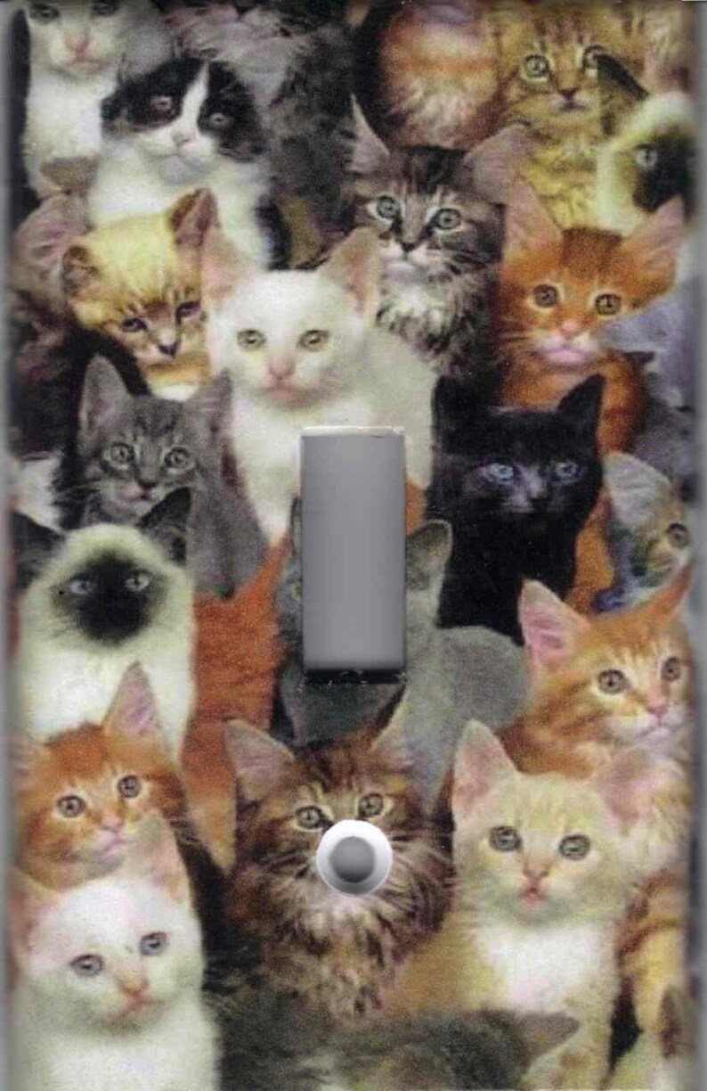 CATS, CATS, CATS Light Switch Plates and Outlets Home Decor - Etsy