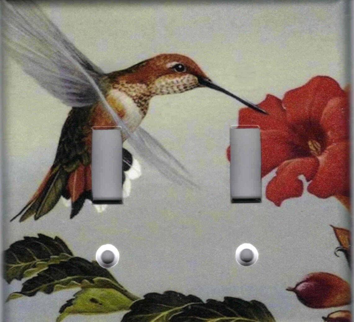 HUMMINGBIRD WITH FLOWER on Grey Light Switch Plates and | Etsy