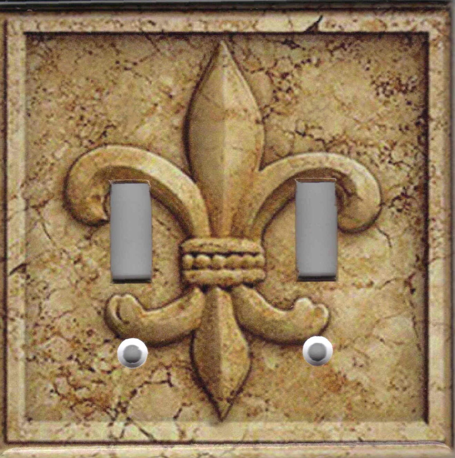 FLEUR DE LIS Stone Image Light Switch Plates and Outlets Home - Etsy