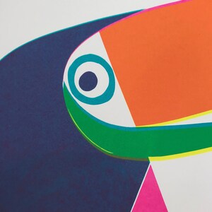 Toucan Ice-pop Screen-print - Etsy