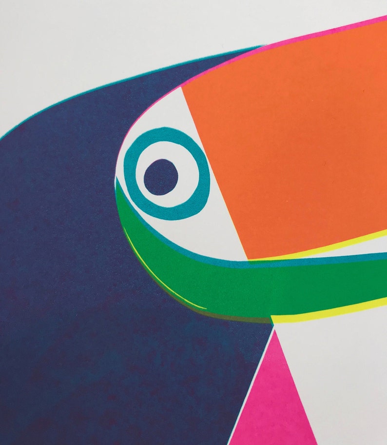 Toucan Ice-pop Screen-print - Etsy