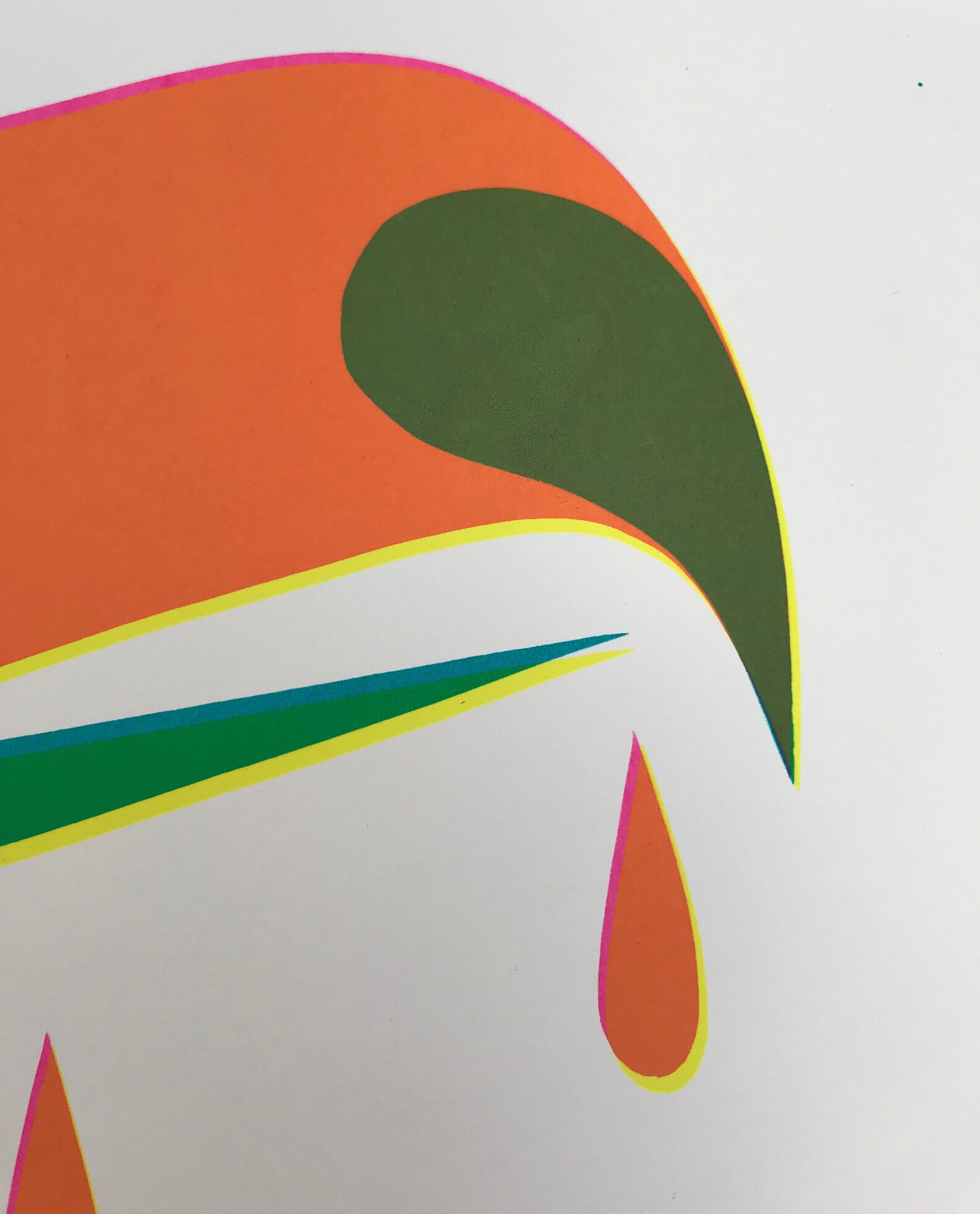 Toucan Ice-pop Screen-print - Etsy