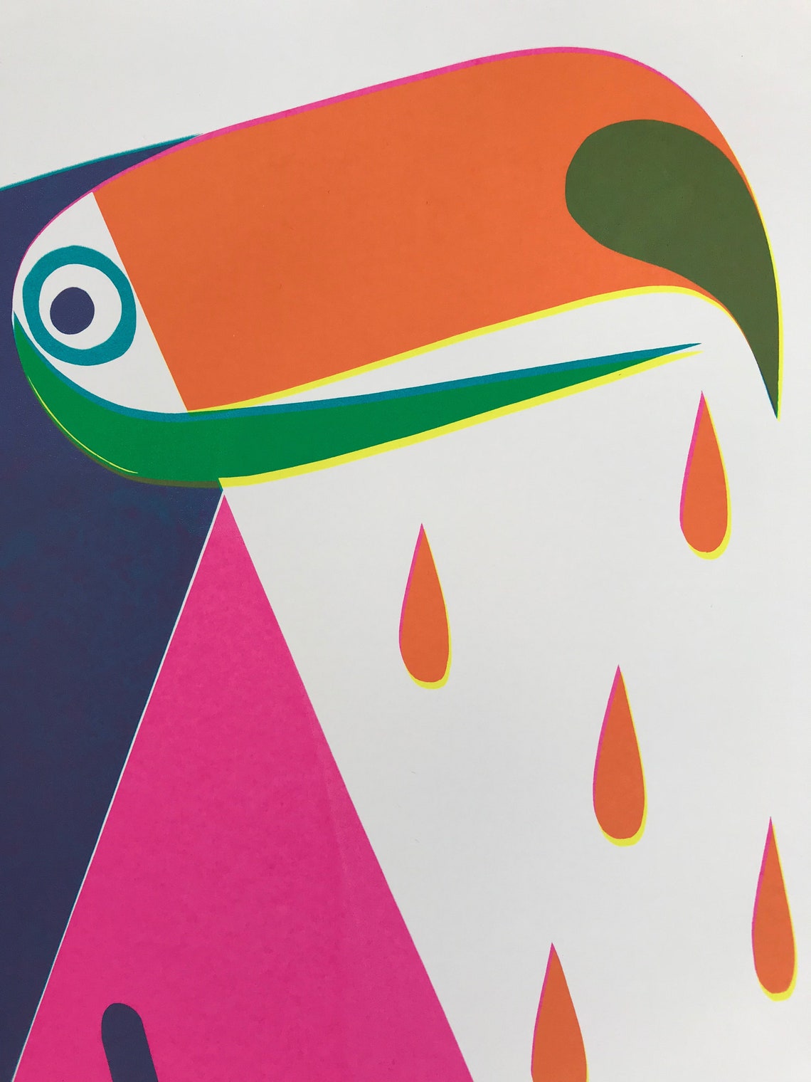 Toucan Ice-pop Screen-print - Etsy
