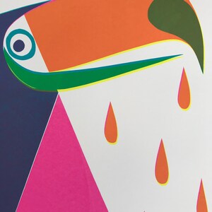 Toucan Ice-pop Screen-print - Etsy