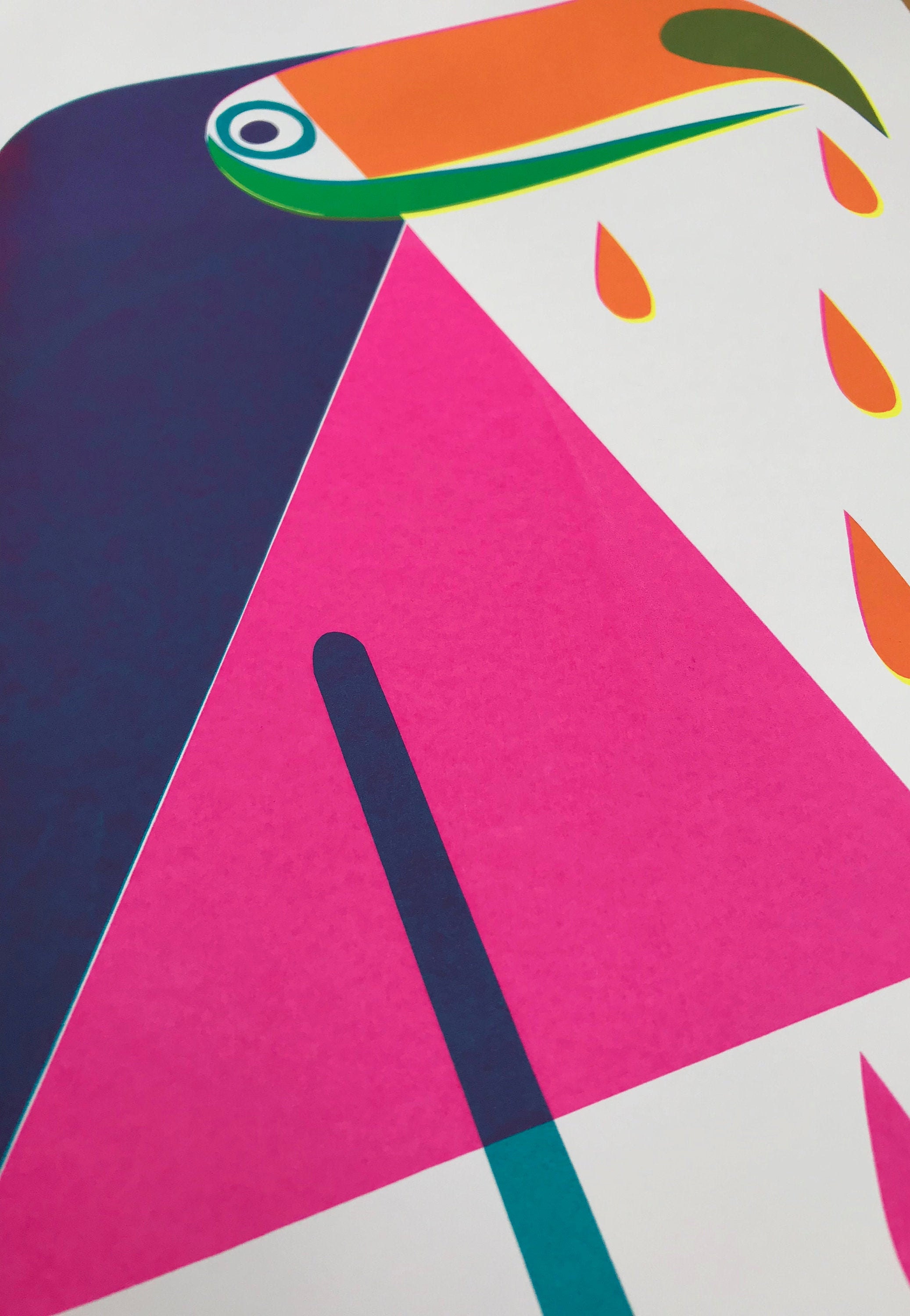 Toucan Ice-pop Screen-print - Etsy