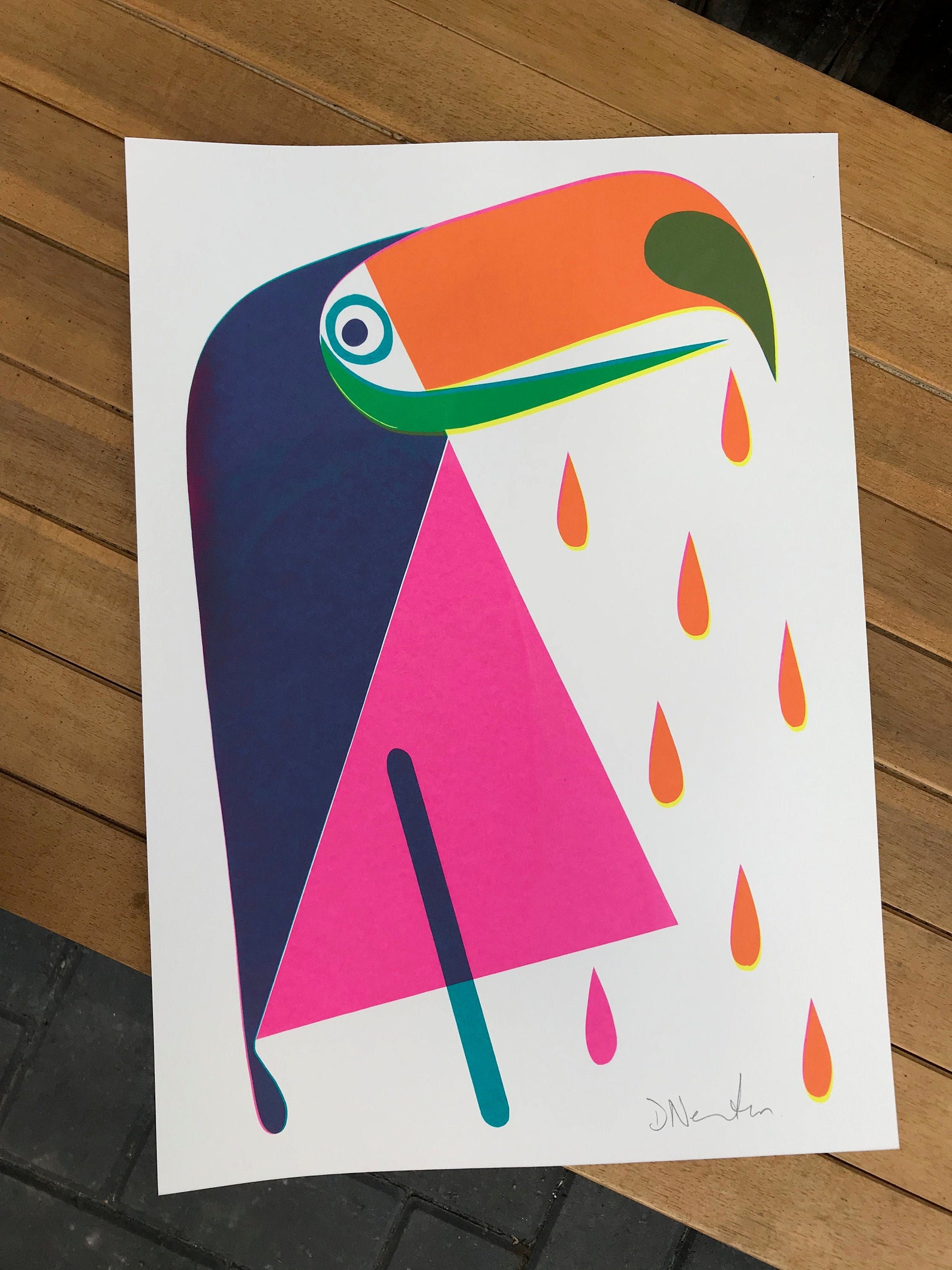 Toucan Ice-pop Screen-print - Etsy