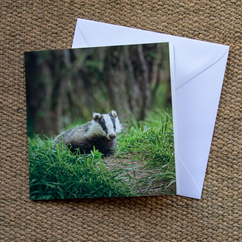 6 Nature Photography Greetings Cards – Blank Nature Cards – Greeting ...