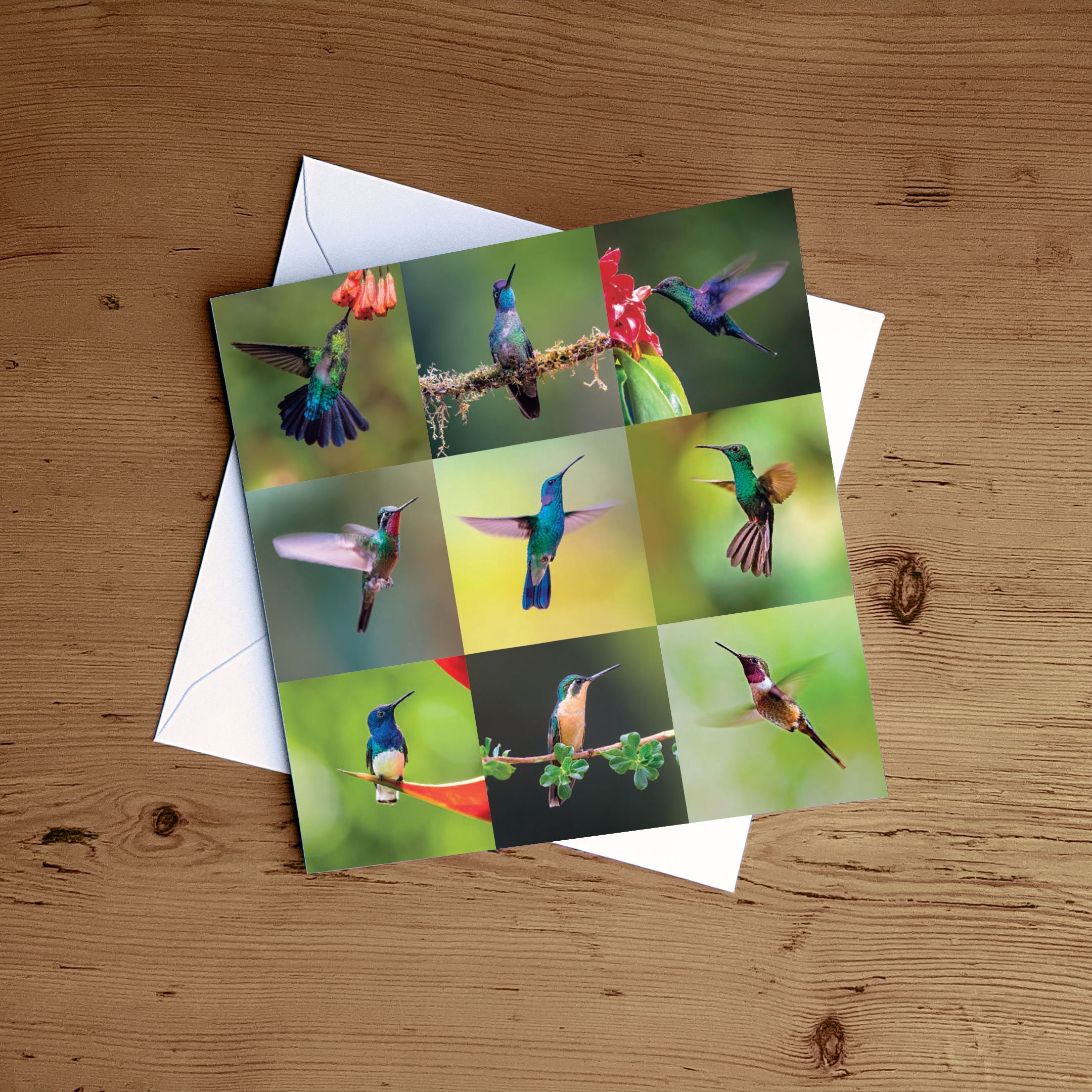 Hummingbirds Greeting Card Bird Lovers Wildlife Card - Etsy Denmark