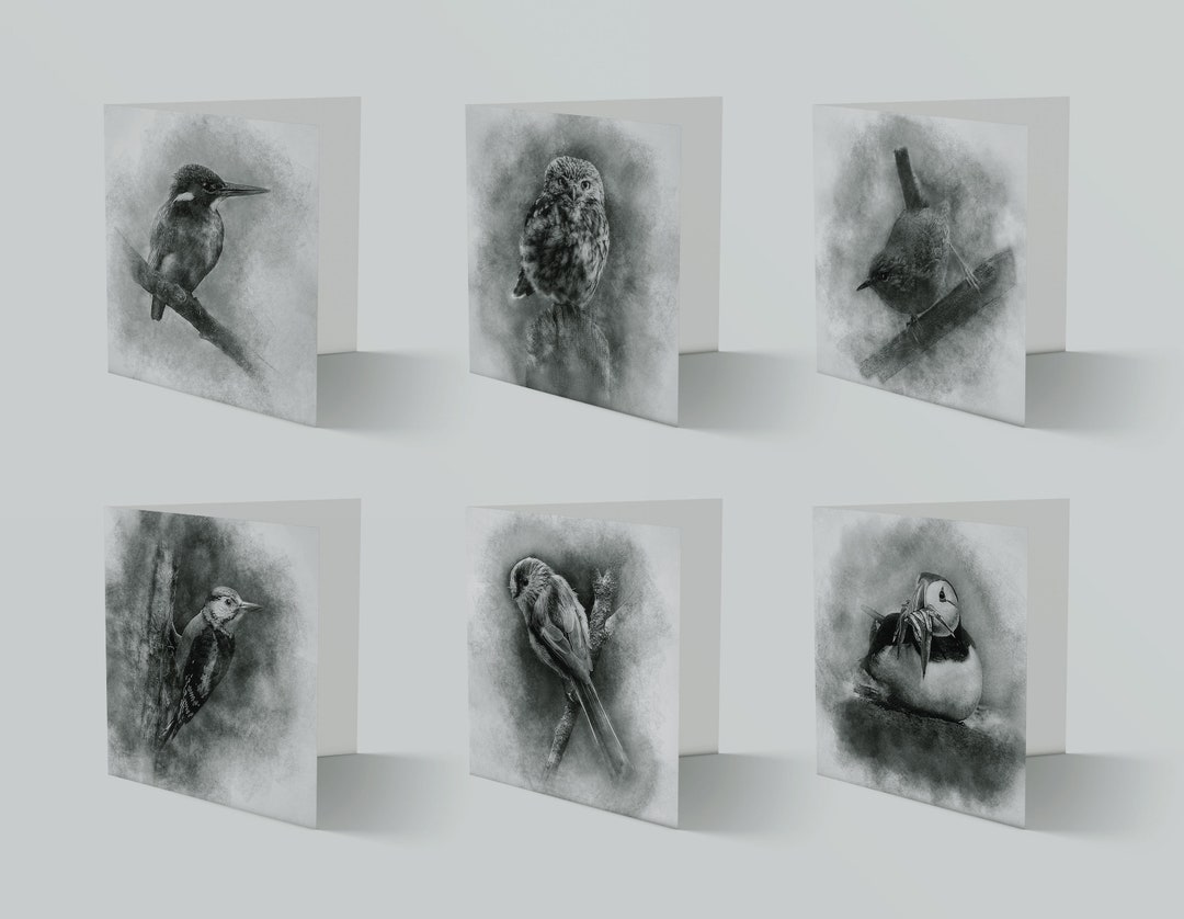 6 Pencil Drawing Bird Greetings Cards – Art Greeting Card – Nature ...