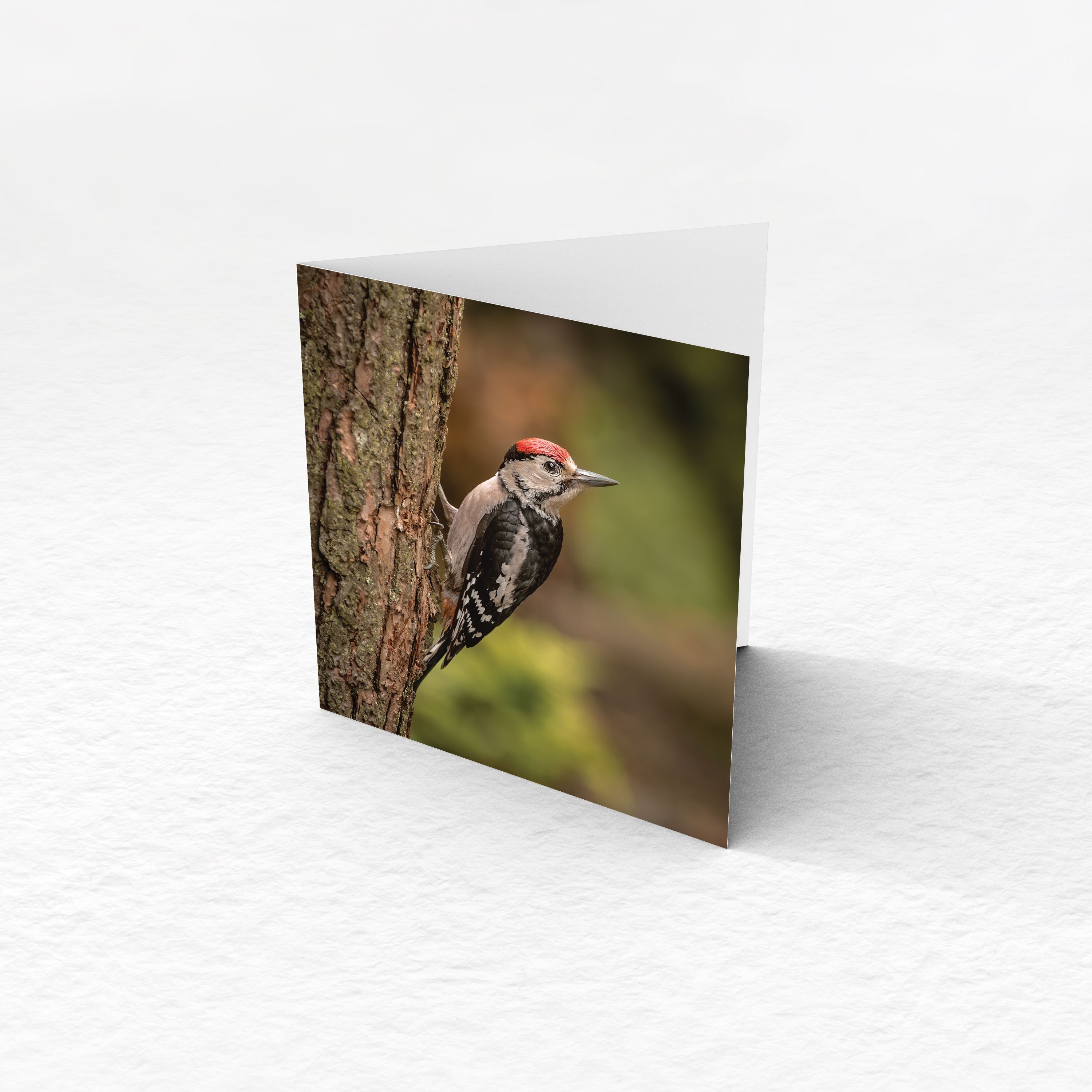 Set of 6 Blank Bird Greeting Cards – Wildlife Cards – Bird Lovers Photo ...