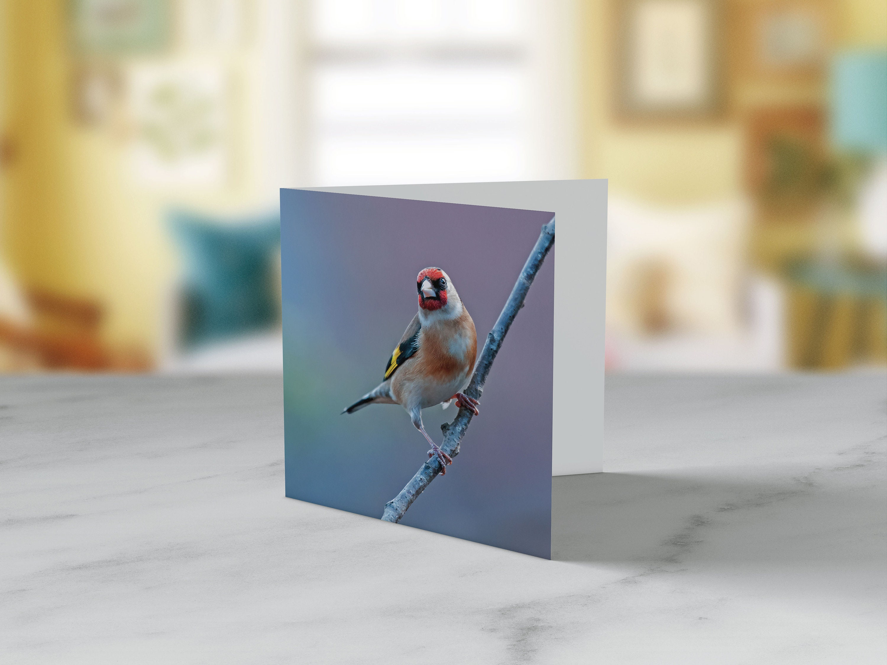 Goldfinch Bird Greeting Card Nature Photography Greeting Card Bird ...