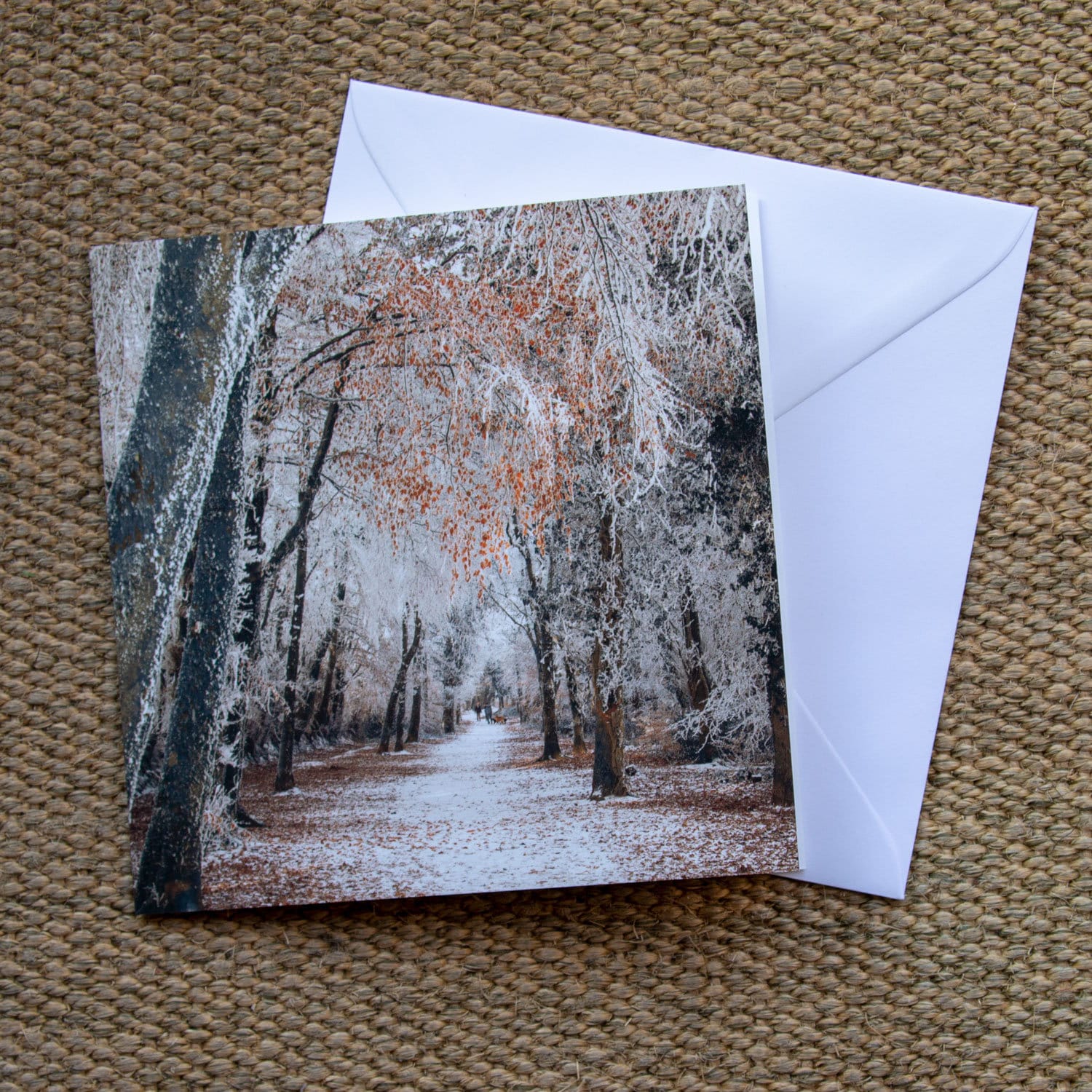 6 Nature Photography Greetings Cards – Blank Nature Cards – Greeting ...