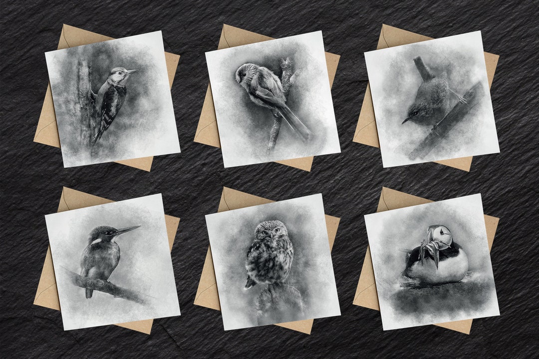Pack of 6 Pencil Drawing Bird Greetings Cards – Nature Art Greeting ...