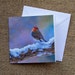 6 Nature Photography Greetings Cards – Blank Nature Cards – Greeting ...