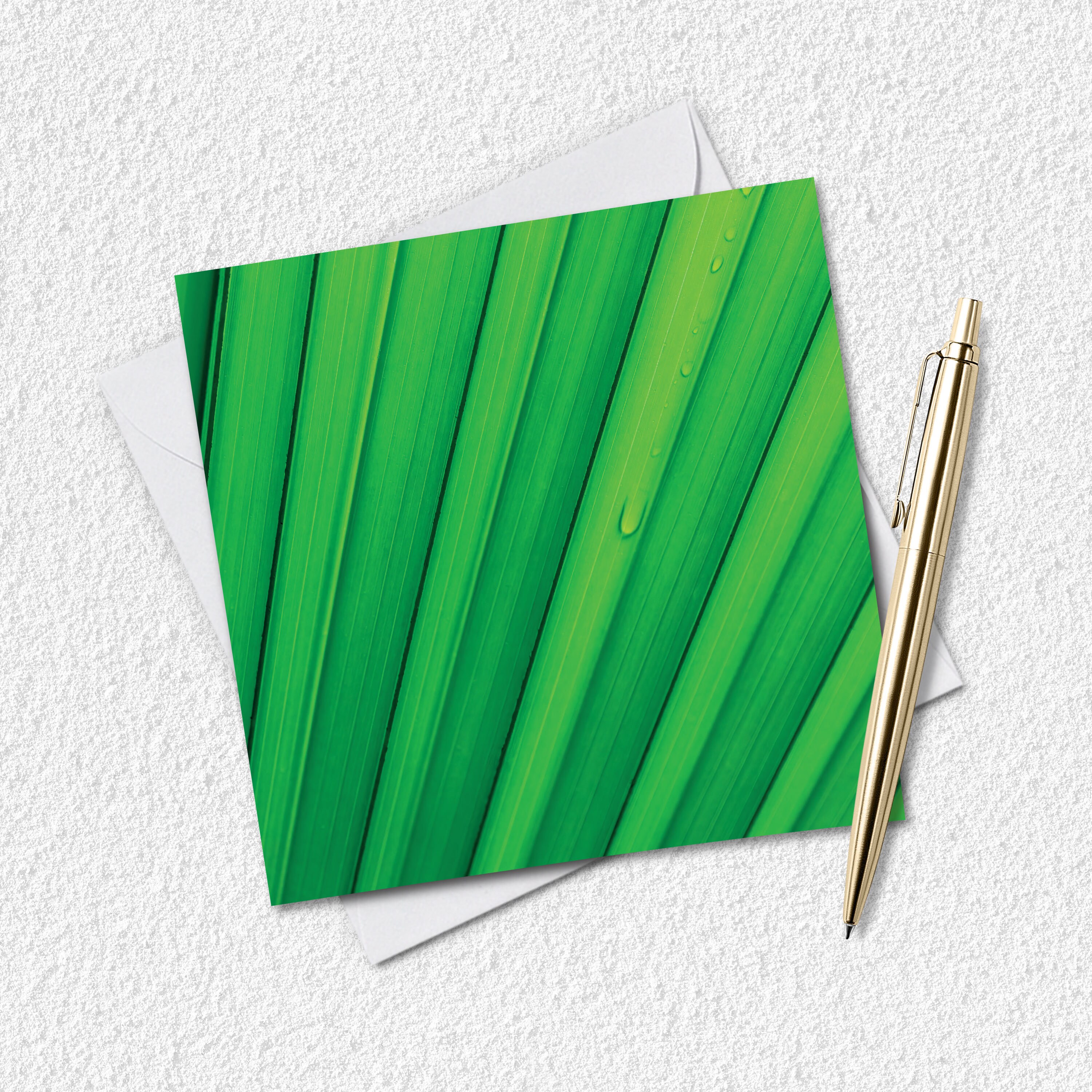 Palm Leaf Plant Greeting Card – Nature Photography Greeting – Plant ...