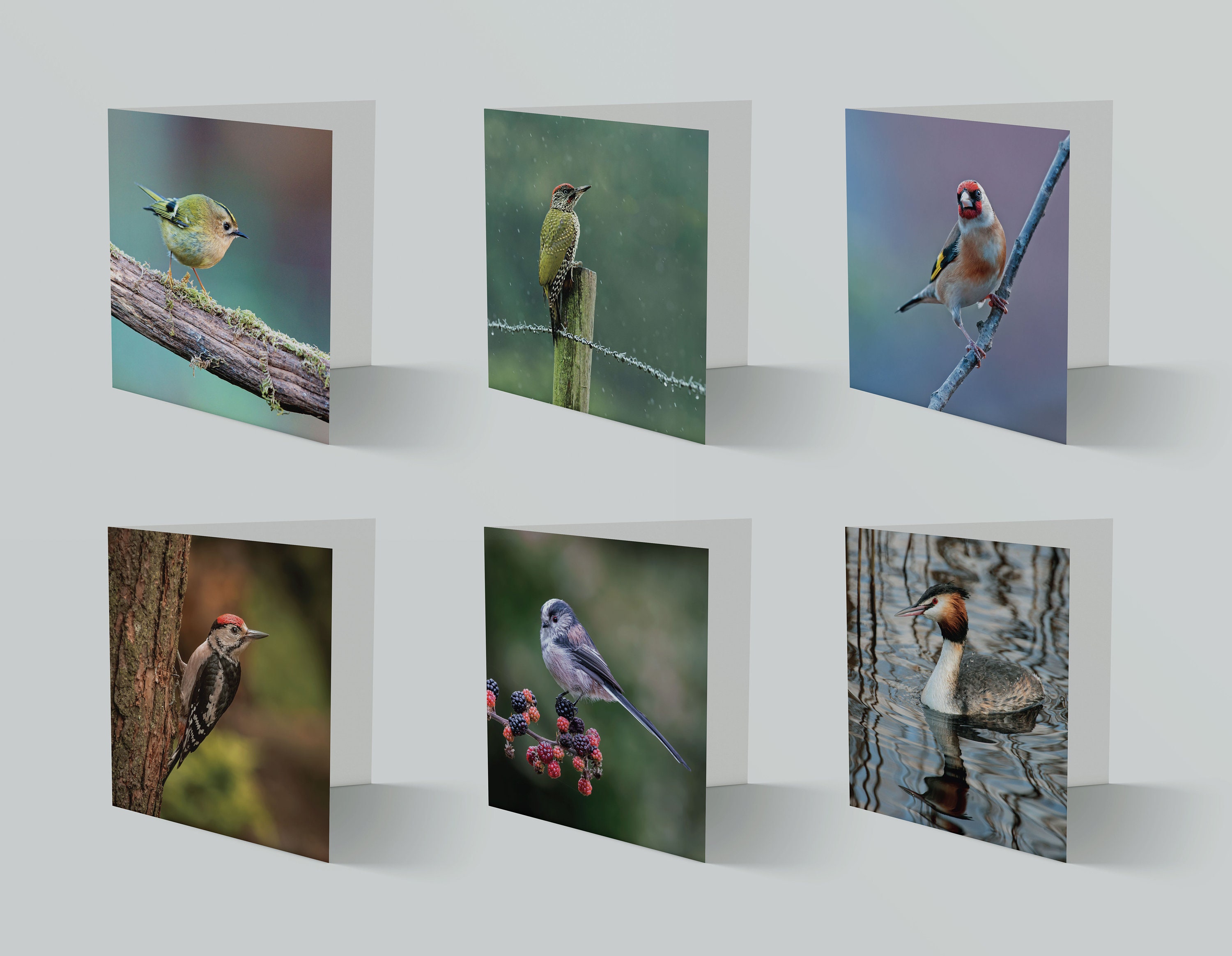 Set of 6 Blank Bird Greeting Cards – Wildlife Cards – Bird Lovers Photo ...
