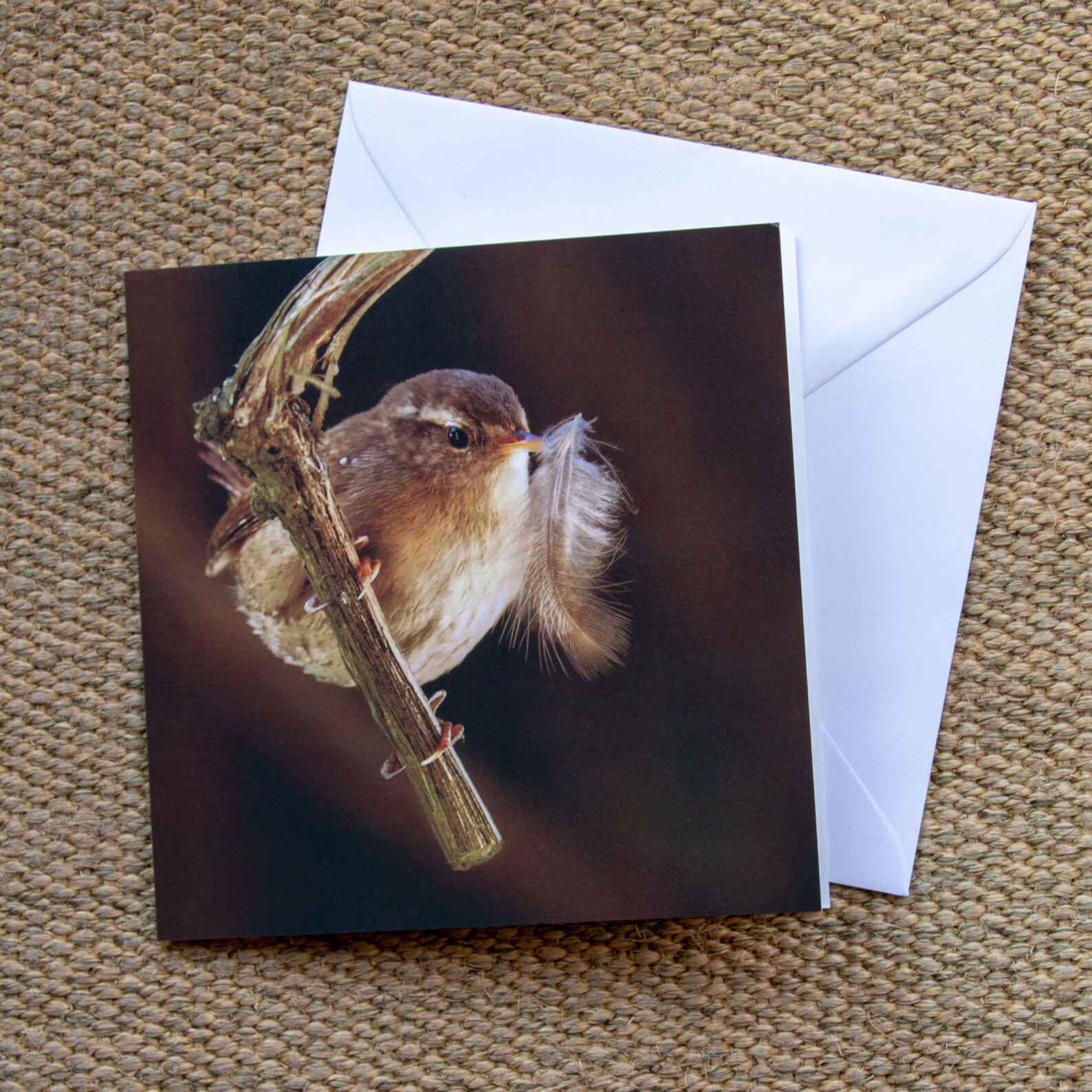 6 Nature Photography Greetings Cards – Blank Nature Cards – Greeting ...