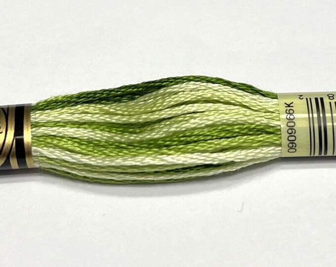 DMC 92 Variegated Avocado 6 Strand Embroidery Floss - Etsy
