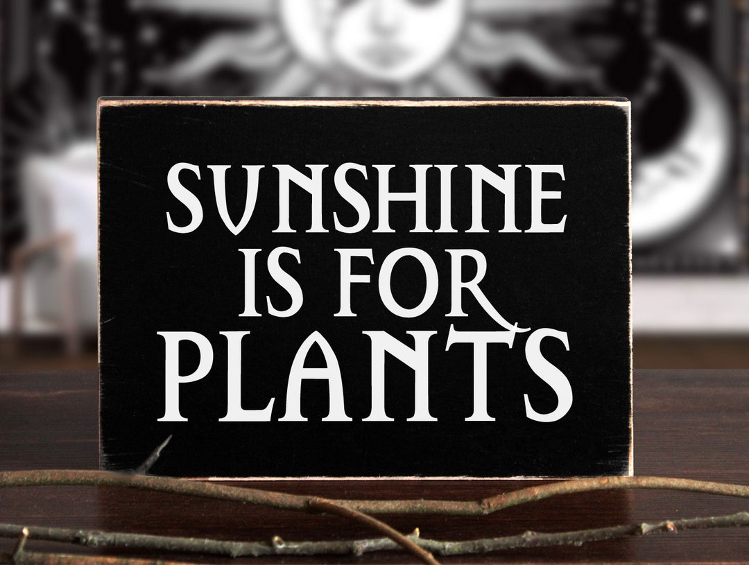 Goth Sign Sunshine is for Plants Gothic Home Decor - Etsy