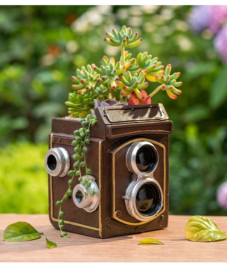 Resin Creative Retro Camera Succulent Pot for Home Decration,indoor ...