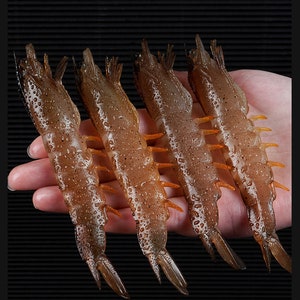 Fake Raw Prawn Model,simulated Vegetables Shelled Fresh Shrimps,fake ...