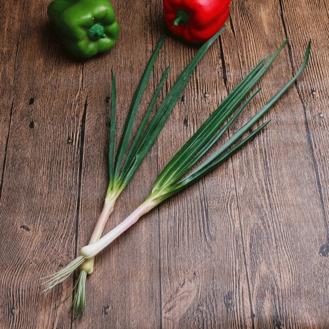 Fake Scallion Vegetables Model,simulated PU Soft Shallot,fake Food ...
