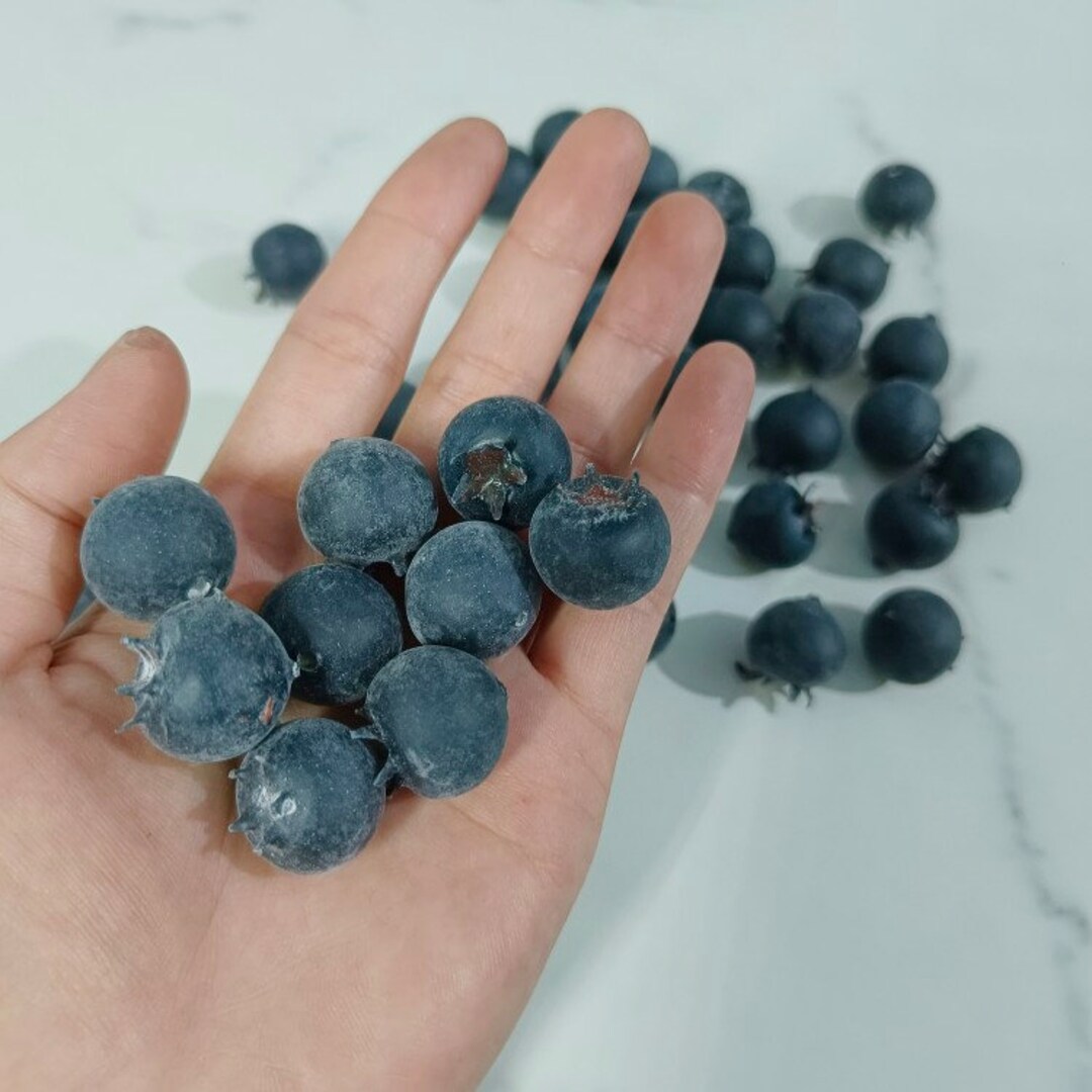 Fake Foam Blueberries Raspberry Model, Simulated Fruit Vegetable ...