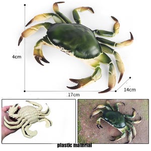 Fake Plastic Crabs,simulated Big Crab,marine Animals,food Model Props ...