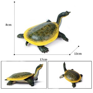 Simulated Turtle Model,fake Plastic Soft-shelled Turtle for Outdoors ...