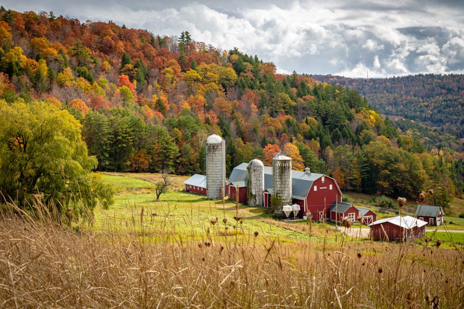 Hillside Farm in Vermont Print 16x24 - Etsy