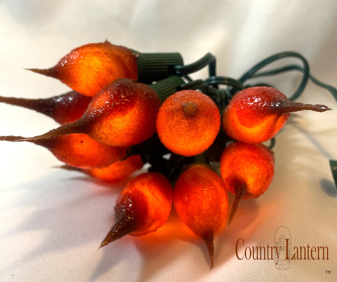 25 Pack of Grubby Light Bulbs to Use for C7 Light Stringer - Etsy