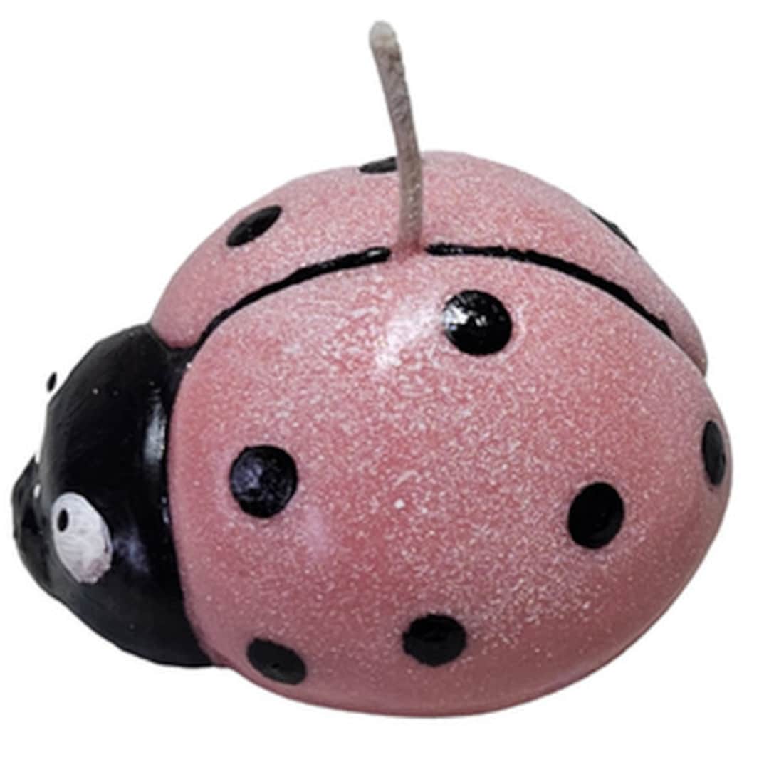 Unique Handmade Ladybug Candle Made of Paraffin Wax - Decorative Living ...