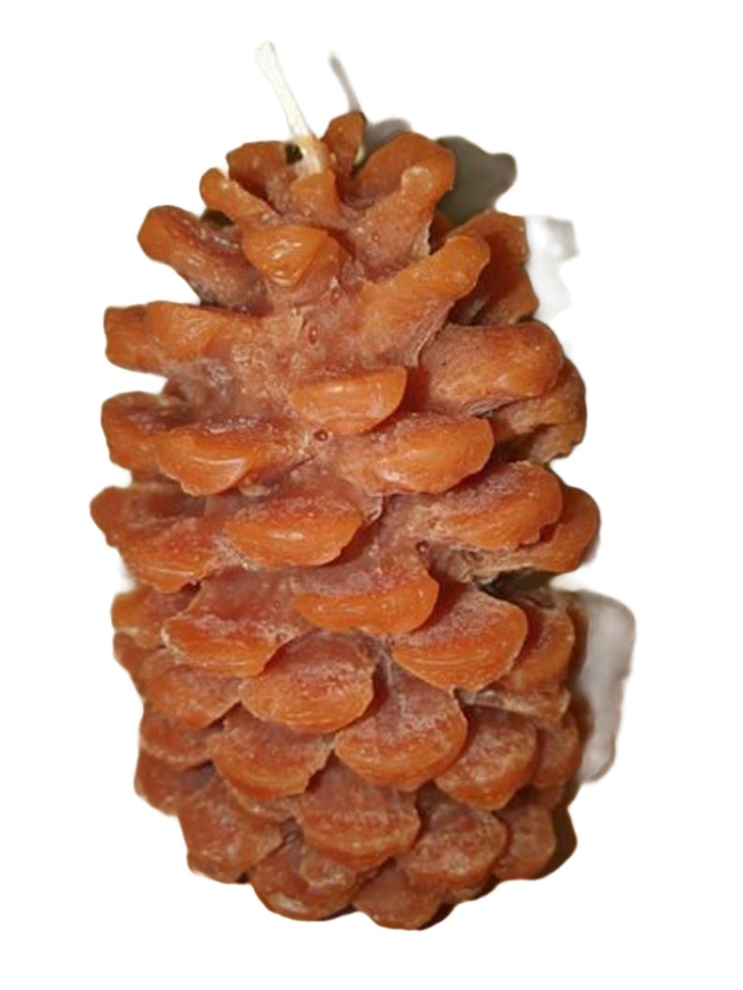 Candle Pine Cones, Motif Candle - Etsy