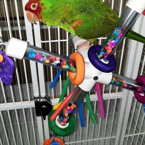 Larger Spinner for Parrot Bird Cage OR Table Top Spinning - Etsy