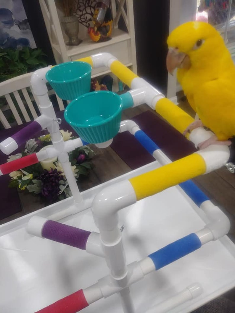 3/4 PVC Parrot Play Gym. Table Top Portable Bird Perch | Etsy