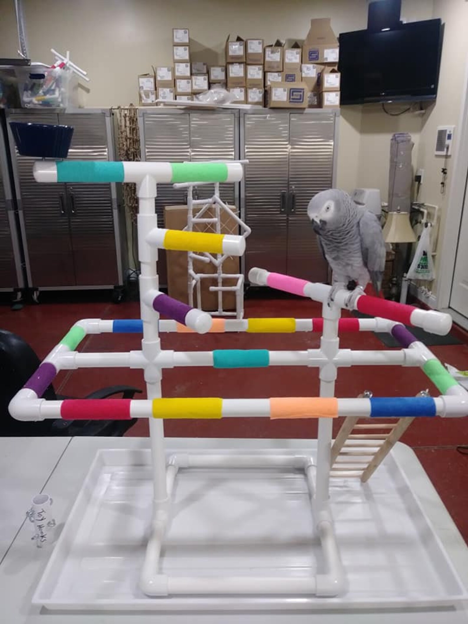 Medium Parrot Fun, Play Gym Perch. Table Top \ Portable Perch **FREE ...