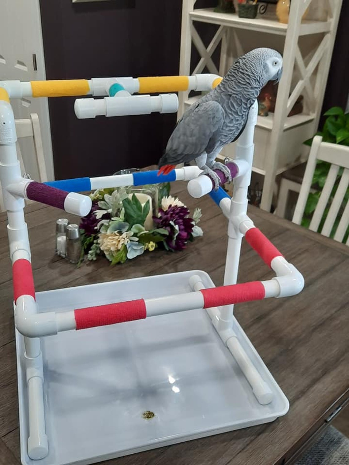 3/4 PVC Parrot Play Gym. Table Top Portable Bird Perch - Etsy