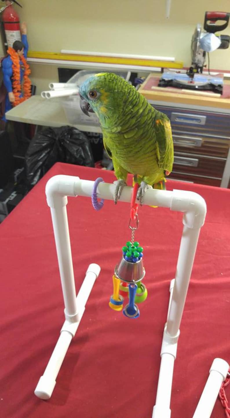 Transporter / Basic Medium Portable Parrot Perch / Toy or | Etsy