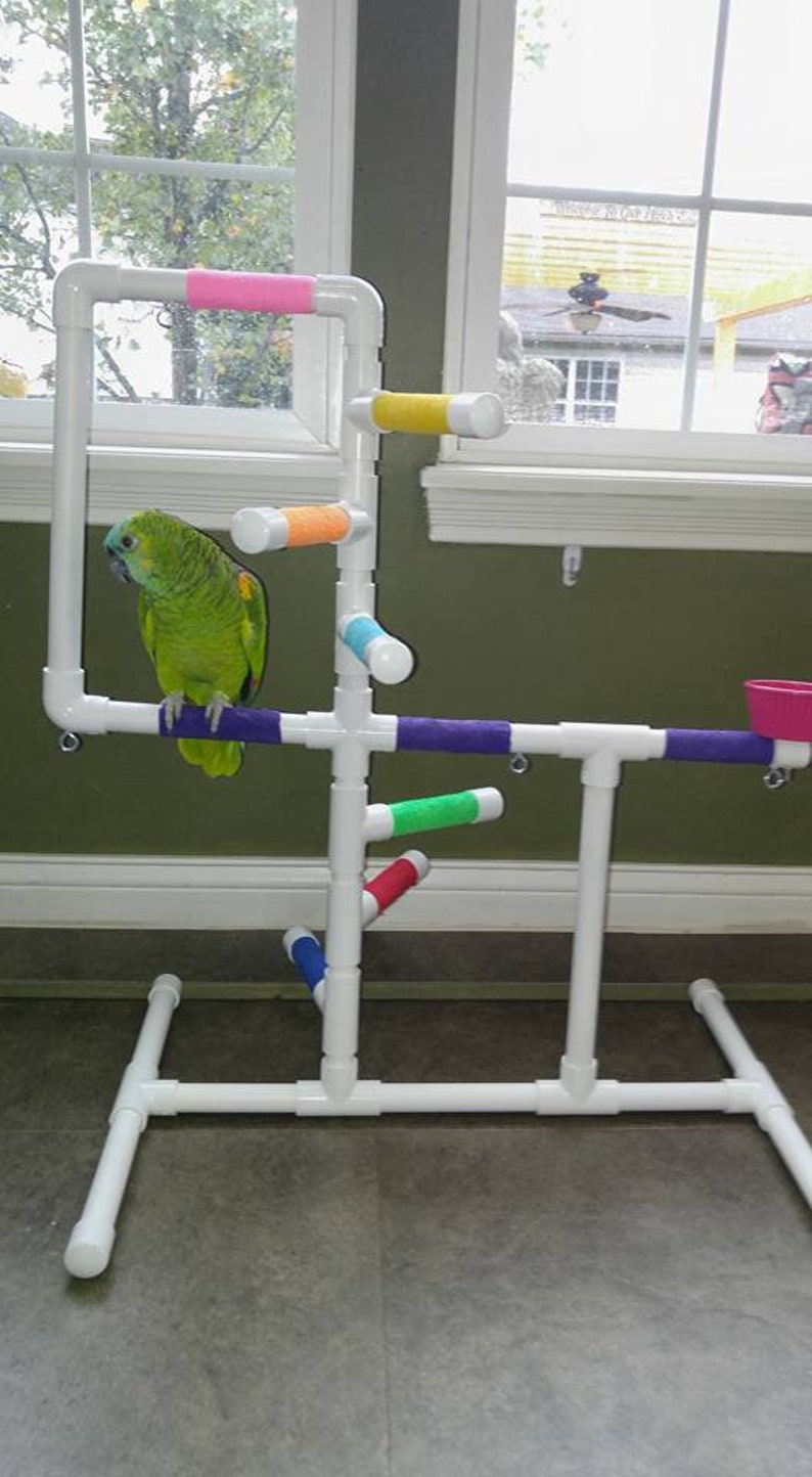 Deluxe Large 3/4" PVC Parrot Perch \ Stand \ Play Gym #24 - Etsy