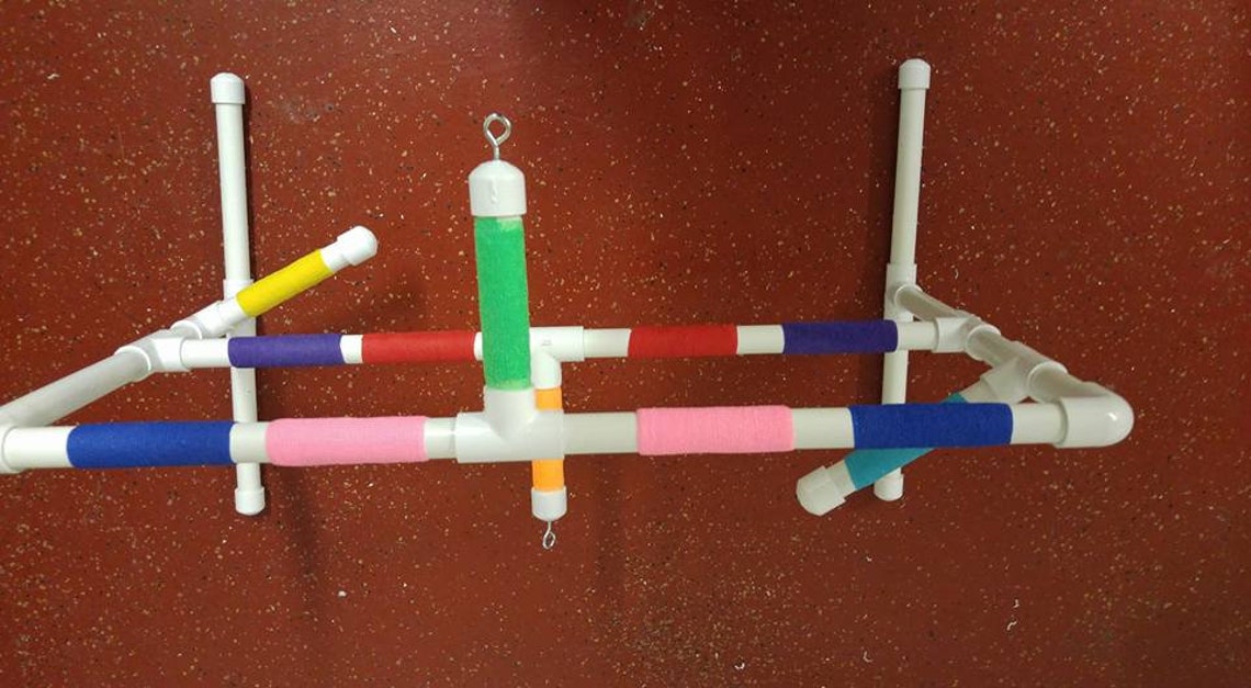 Parrot Cage Top Table Top Play Area Perch free - Etsy