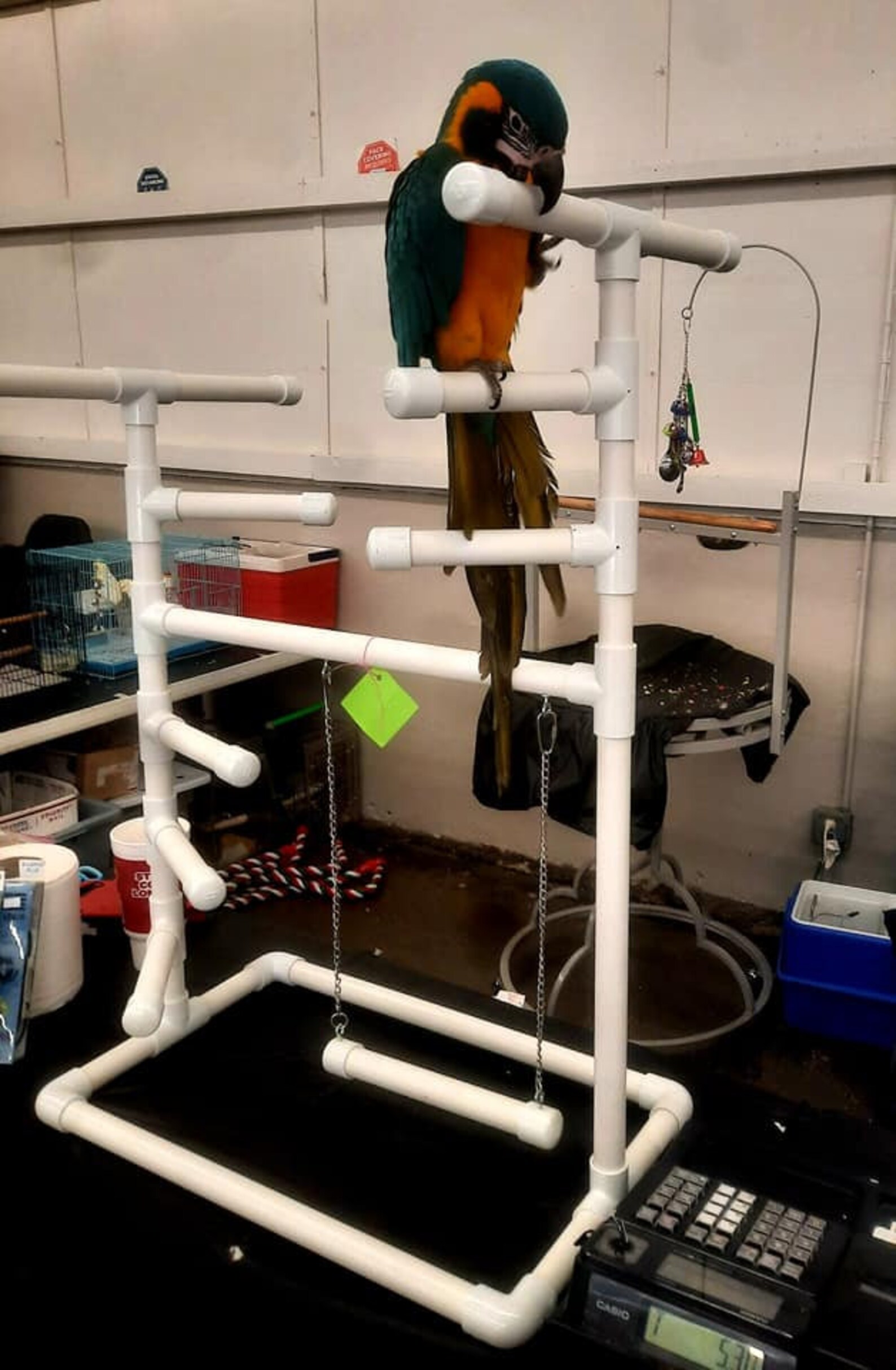 42 Tall 1 PVC Macaw Parrot Perch Stand Swing Play Gym FREE SHIPPING 1 ...