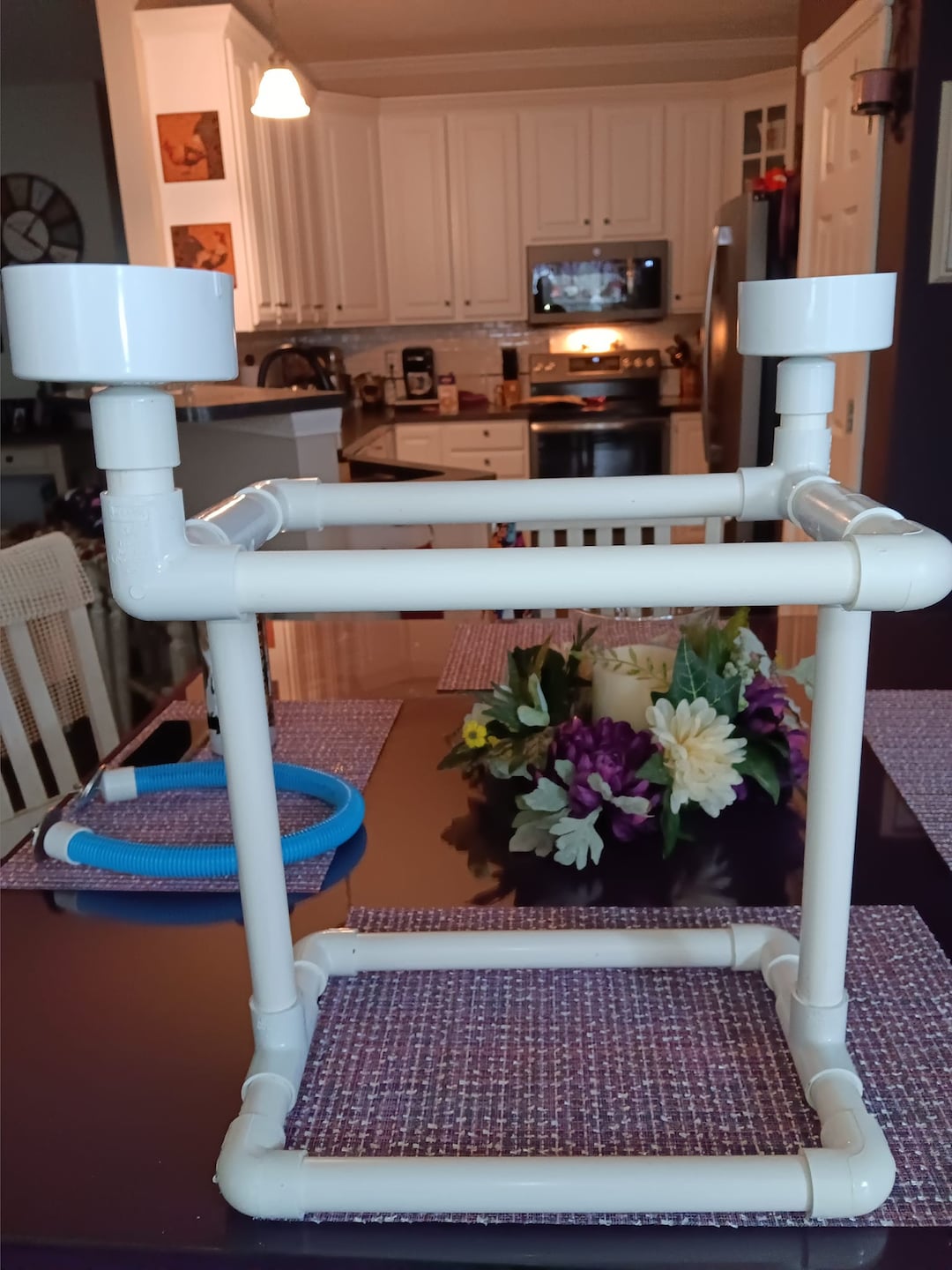 The "breakfast Bar" Table Top \ Portable Perch W 2 Cups, Sml, Med,lge ...