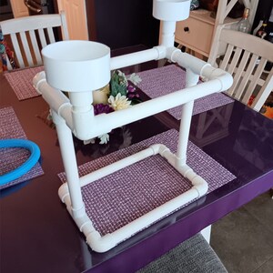 The "breakfast Bar" Table Top \ Portable Perch W 2 Cups, Sml, Med,lge ...